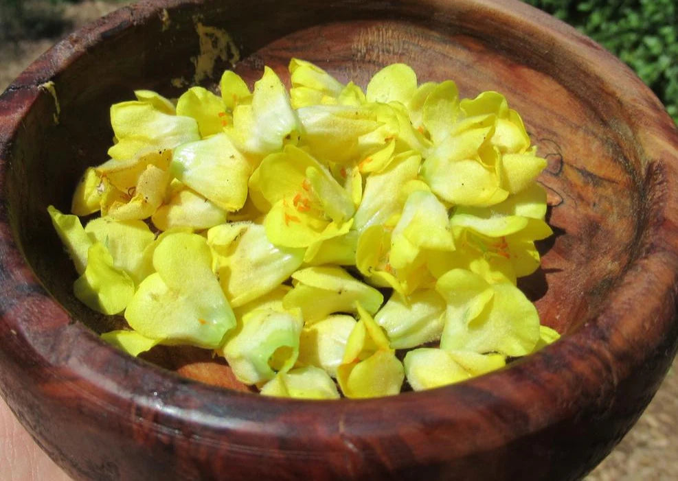 ZONE 7 PERMA STARTER PACK (HERBS) – Perma Gardens