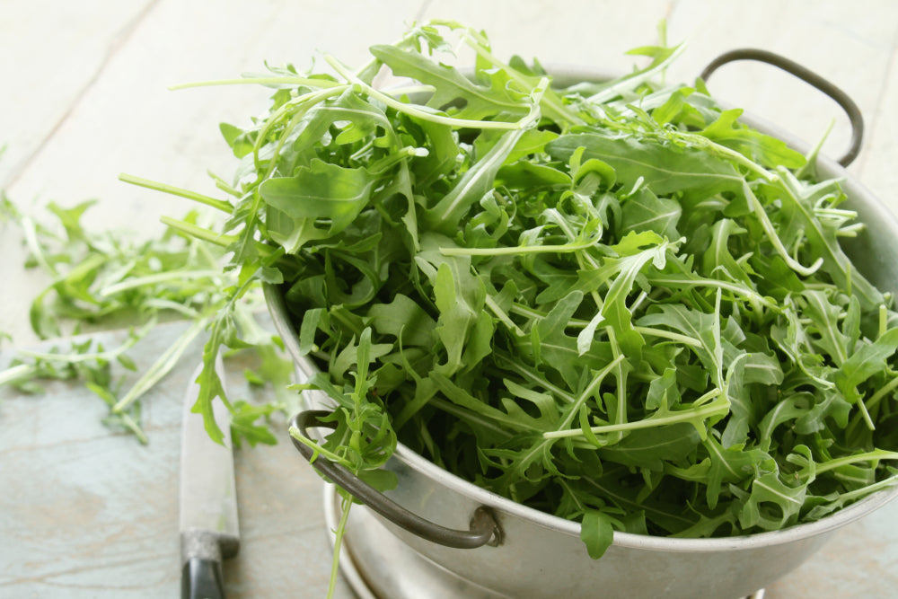 PERMA ARUGULA - Wild Rocket – Perma Gardens