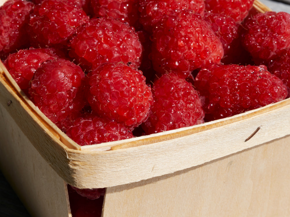 PERMA RED RASPBERRY - Heritage Everbearing – Perma Gardens
